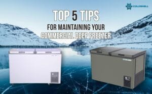 Exploring the Versatility of Voltas Deep Freezers: A Reliable Cold ...